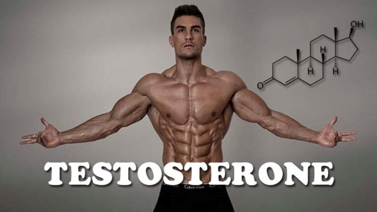 Testosterone Là Gì? Tất Tần Tật Về Hormone Nam Giới
